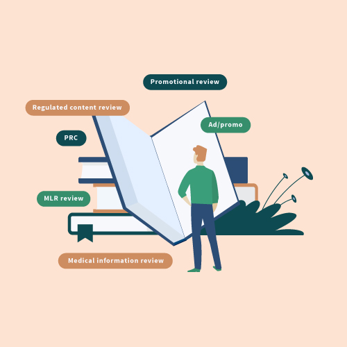 The Ultimate Terminology Guide For The MLR Review Process